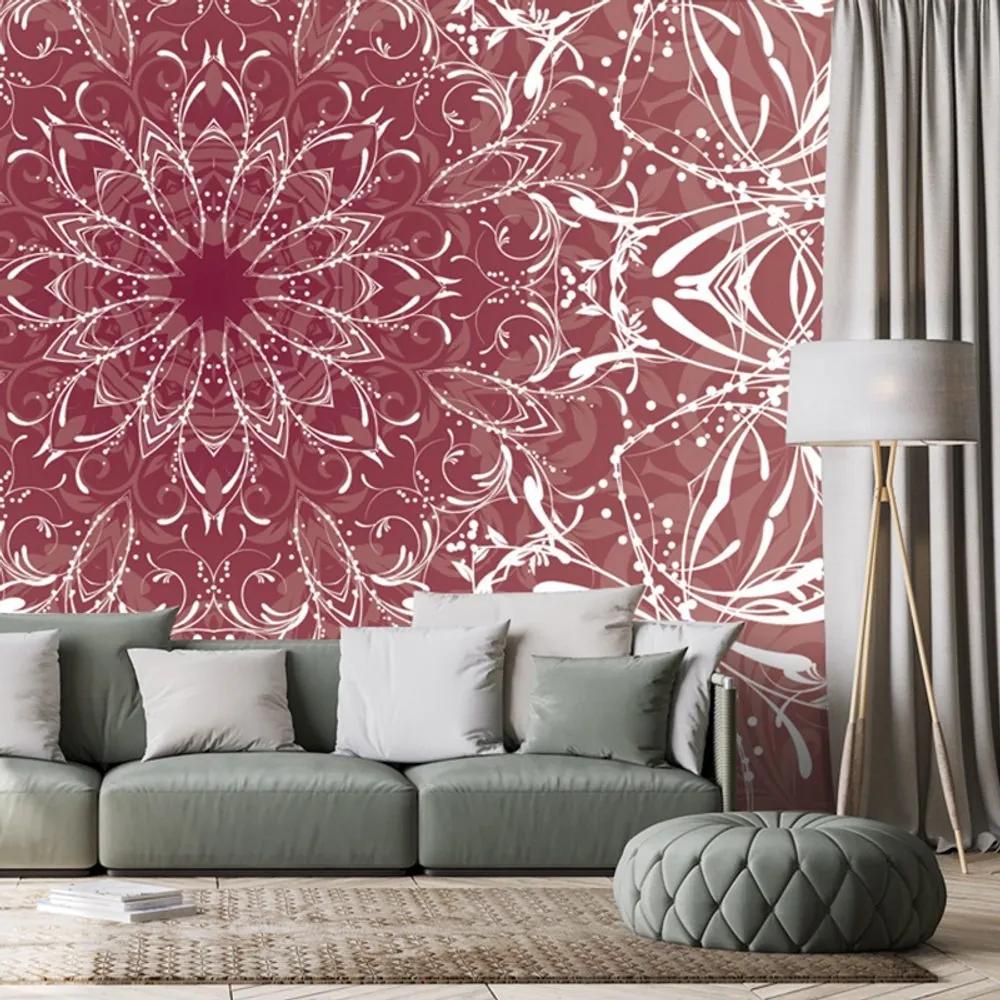 Samolepící tapeta růžová rozeta - 450x300 cm