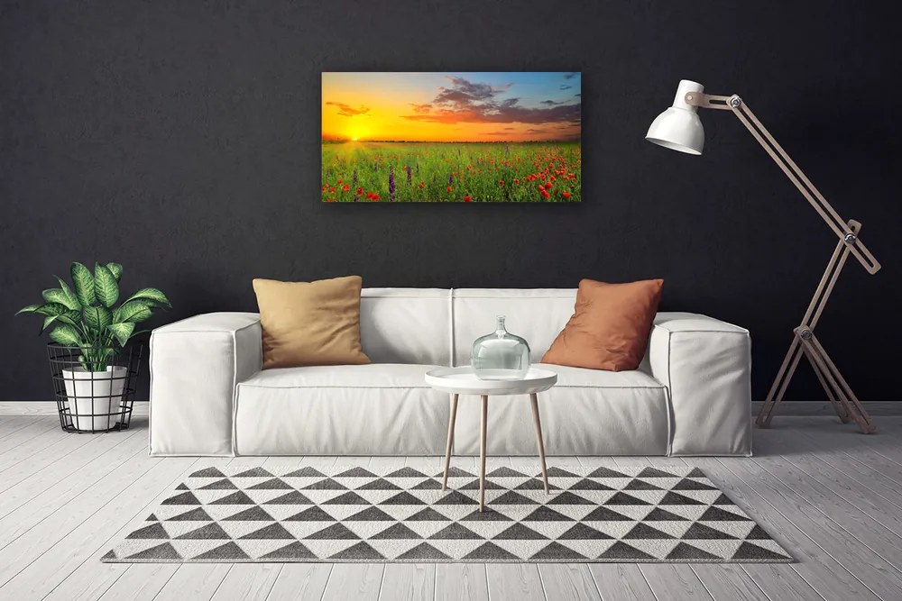 Obraz na plátně Slunce Louka Květiny Příroda 100x50 cm