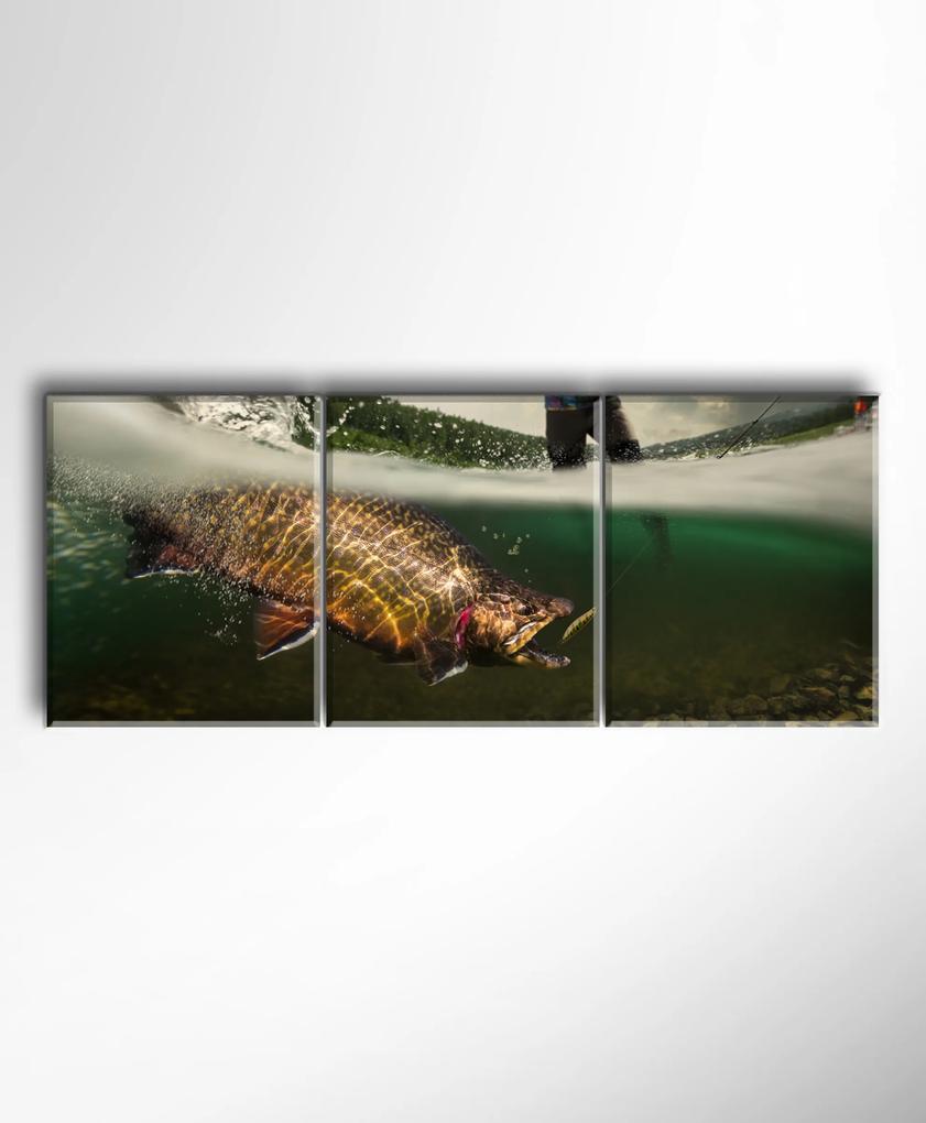 Malvis ® Obraz Rybář a pstruh ROZMĚR (šířka x výška): pětidílný obdélník 150x60 cm