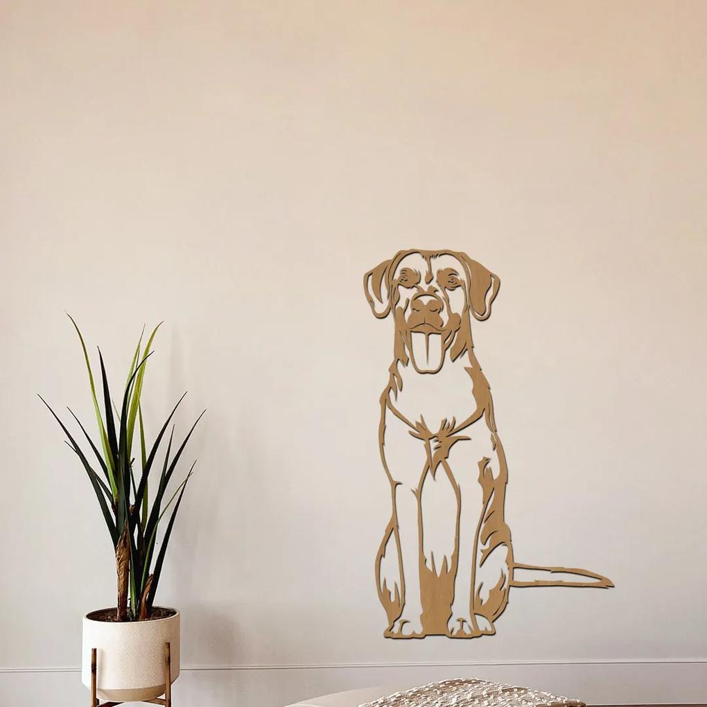 dřevo života Dřevěná dekorace psa Ridgeback Rozměry (cm): 38x60, Barevný vzor: Horský dub