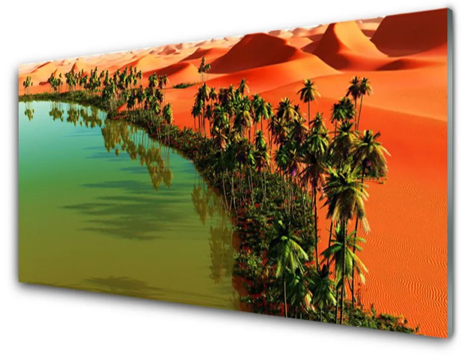 akrylový obraz Jezero Poušť Palmy 100x50 cm