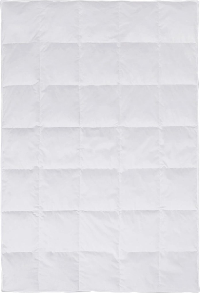 XXXLutz CELOROČNÍ PŘIKRÝVKA, 135/200 cm, peří, prachové peří Boxxx - Přikrývky - 007992077501