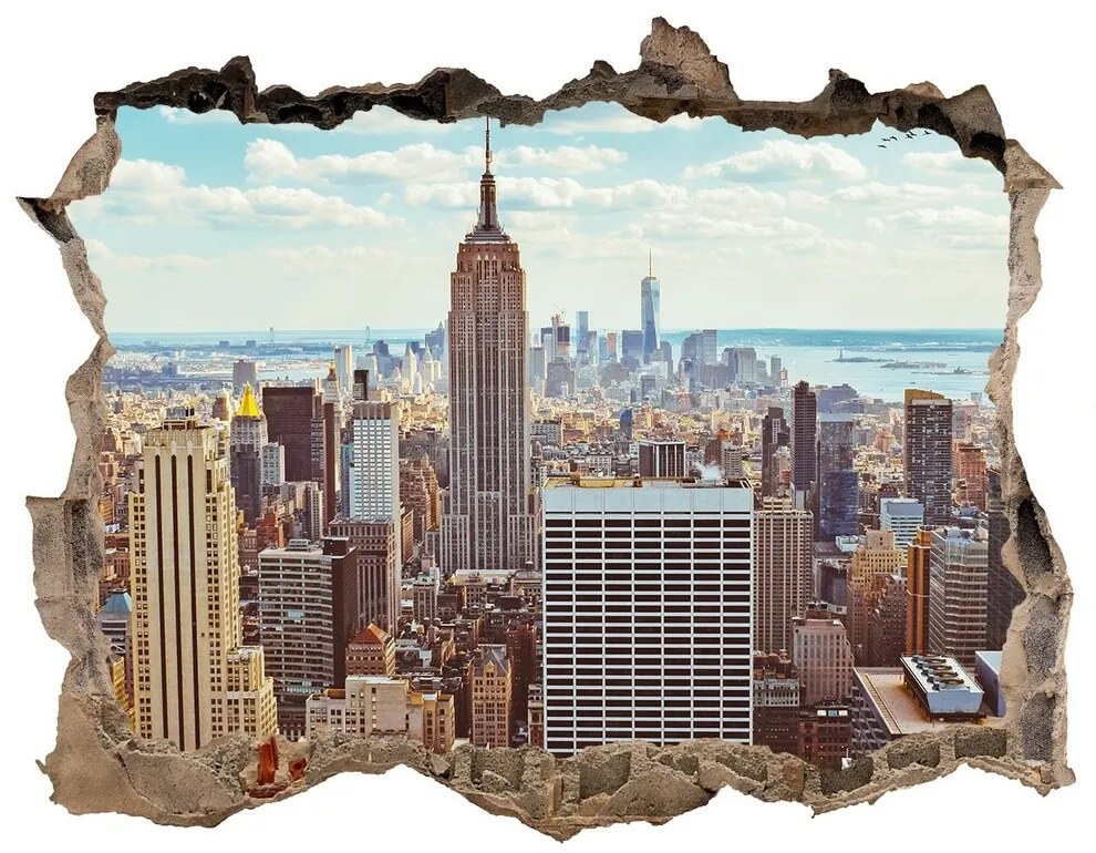Wallmuralia Fototapeta díra na zeď 3D New York z ptačího pohledu 95x64 cm