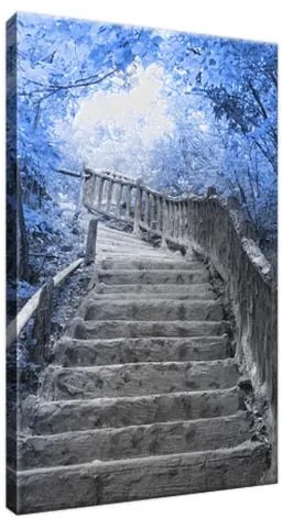 Tištěný obraz Schody v modrém lese 20x30cm 2571A_1S