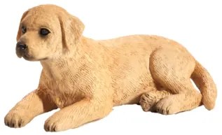Mojo Labrador štěně