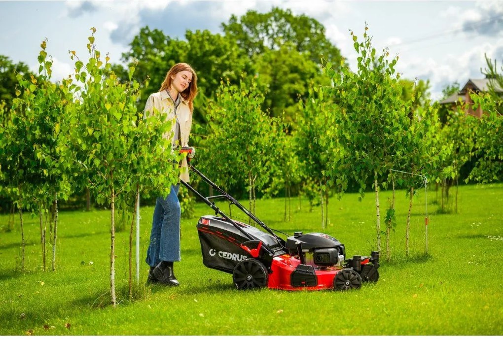 Hahn & Sohn Cedrus Benzínová sekačka KS51S-ZT s pojezdem otočná přední kola HP161050