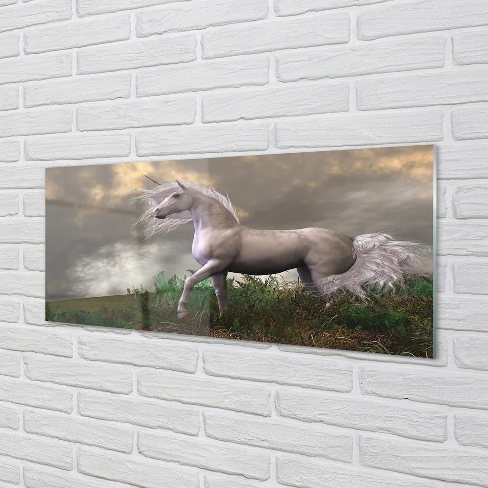 akrylový obraz Unicorn mraky 120x60 cm