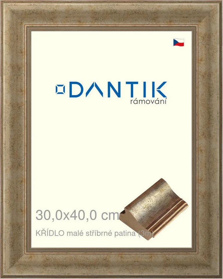 DANTIK rámeček 30x40 | KŘÍDLO malé stříbrné patina (Plexi Čiré)
