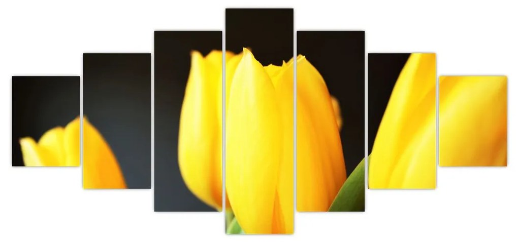 Obraz tulipánů (210x100 cm)