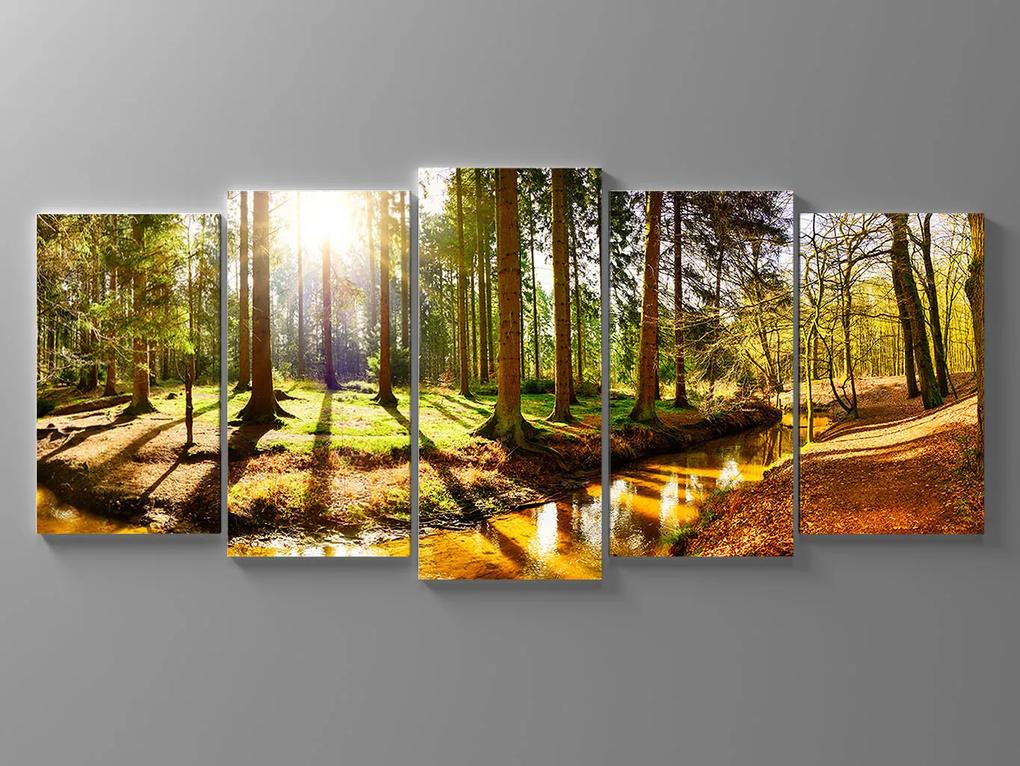 Liox Obraz řeka v lese Rozměr: 200 x 90 cm