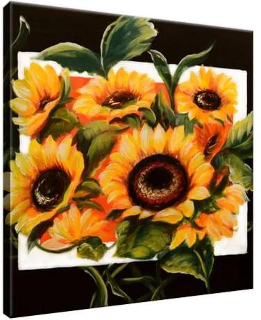 Tištěný obraz Překrásné slunečnice 30x30cm 1496A_1AI