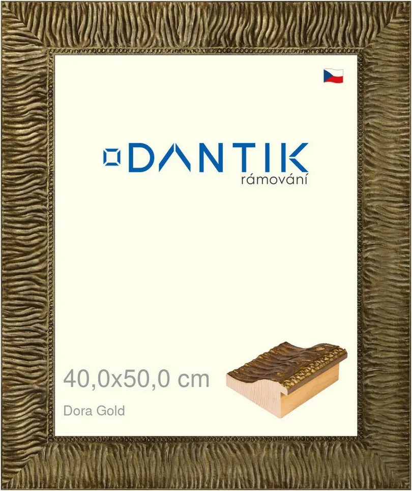 DANTIK rámeček 40x50 | Dora Gold (Sklo Čiré)