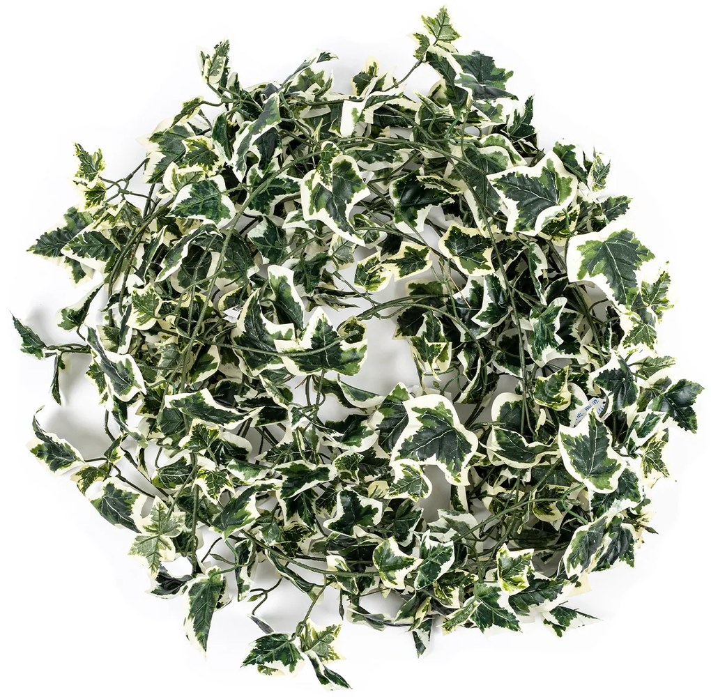 Umělá girlanda Holland Ivy, 180 cm, sada 6 ks