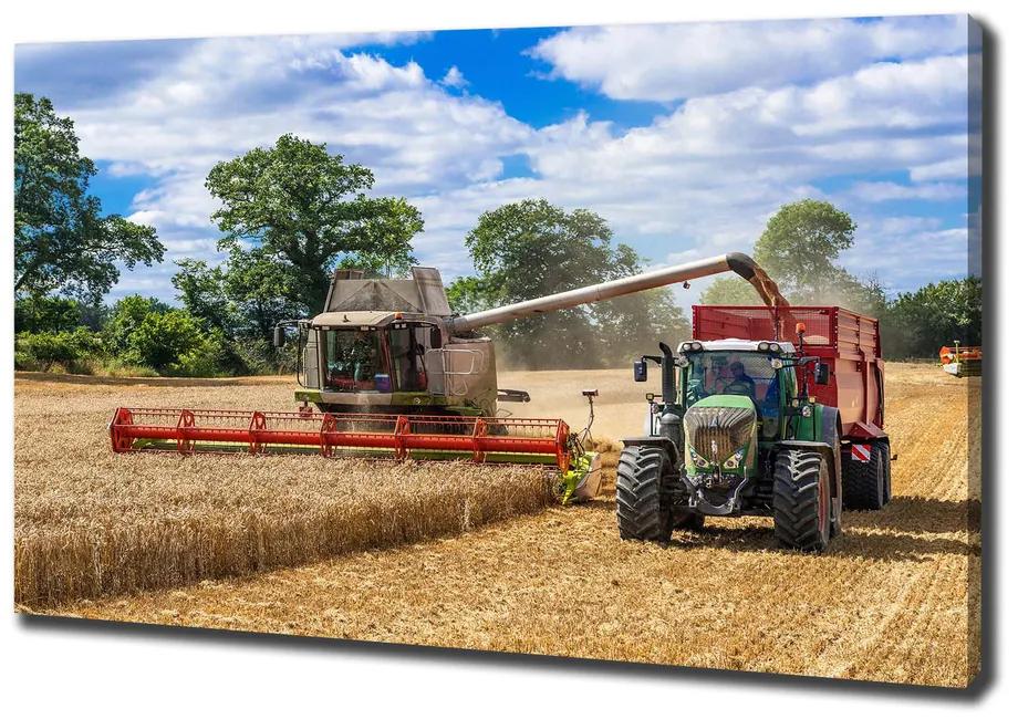 Wallmuralia Foto obraz na plátně Kombajn a traktor 100x70 cm
