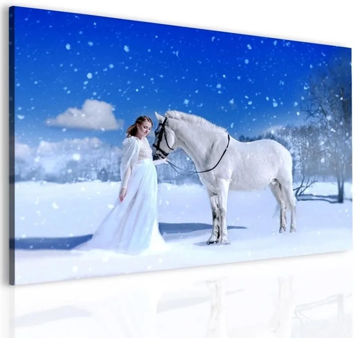 Malvis Malvis Obraz kůň a dívka  30x20 cm