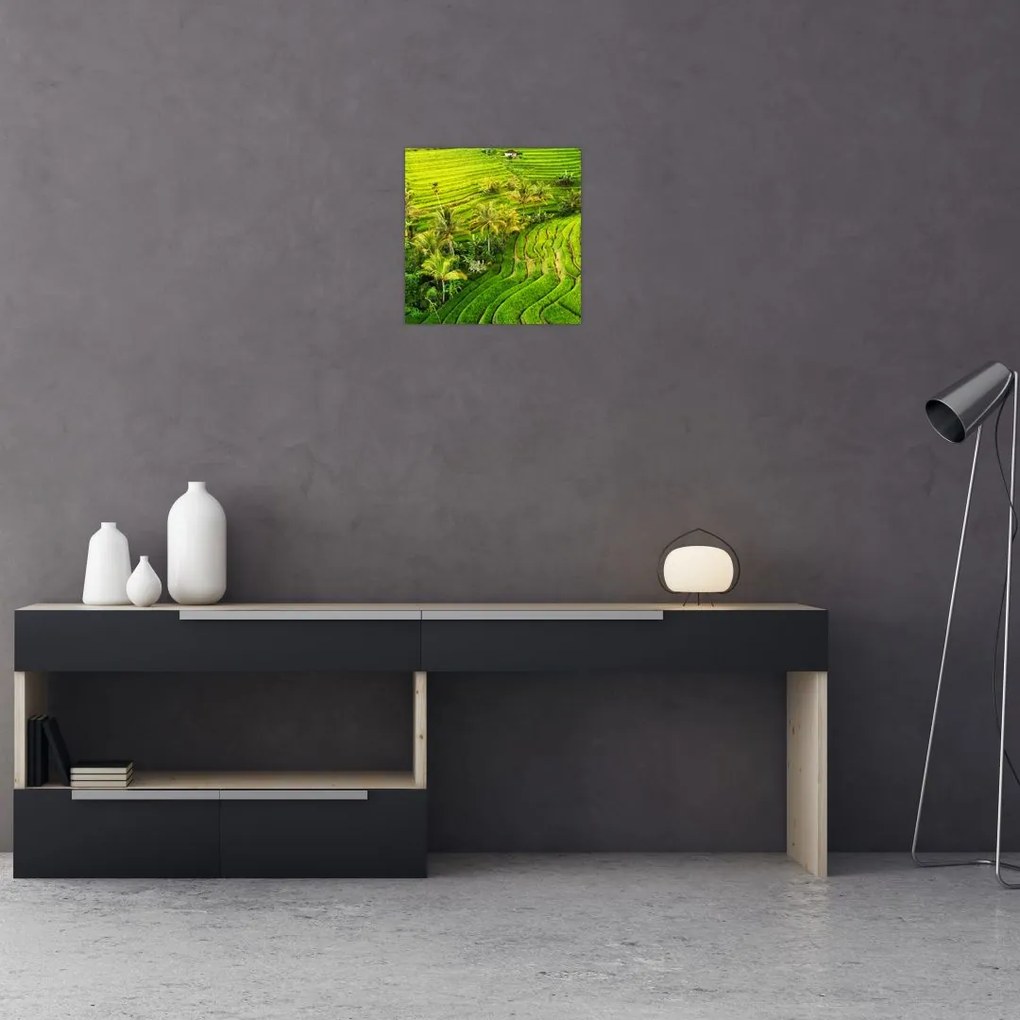 Obraz - Rýžové terasy (30x30 cm)