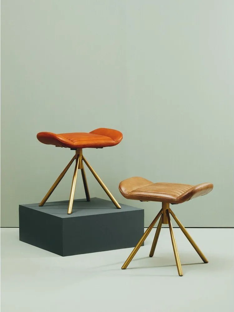 Hnědá stolička Buffalo – Premier Housewares