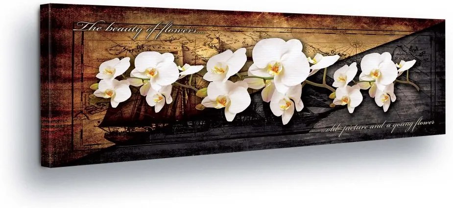 GLIX Obraz na plátně - Bílá Květinová Dekorace v Šedo-hnědém Pozadí 45x145 cm