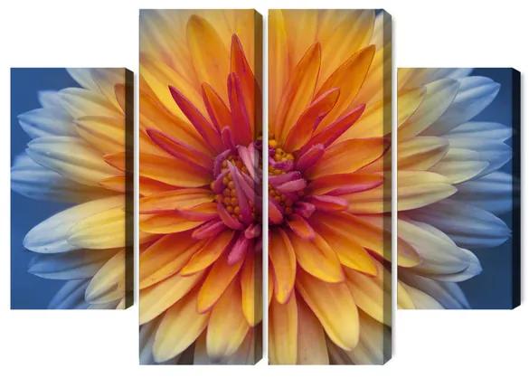 Vícedílný obraz Chryzantéma Květina Zblízka 3D Nedostatek Nedostatek Přírodní plátno 200x150