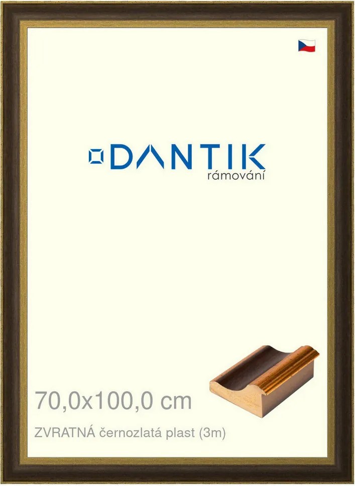 DANTIK rámeček 70x100 | ZVRATNÁ černozlatá plast (Plexi Čiré)