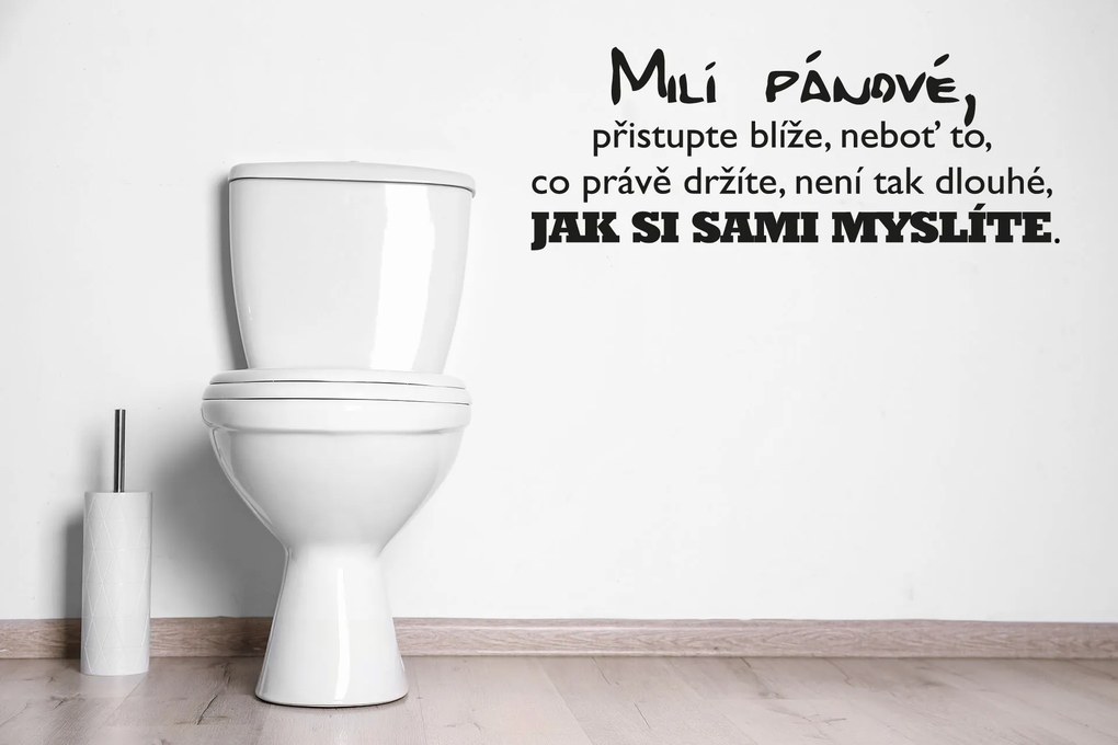 Samolepka na zeď WC - Milí pánové Barevná varianta: Černá, Velikost (šířka x výška): 45x17cm