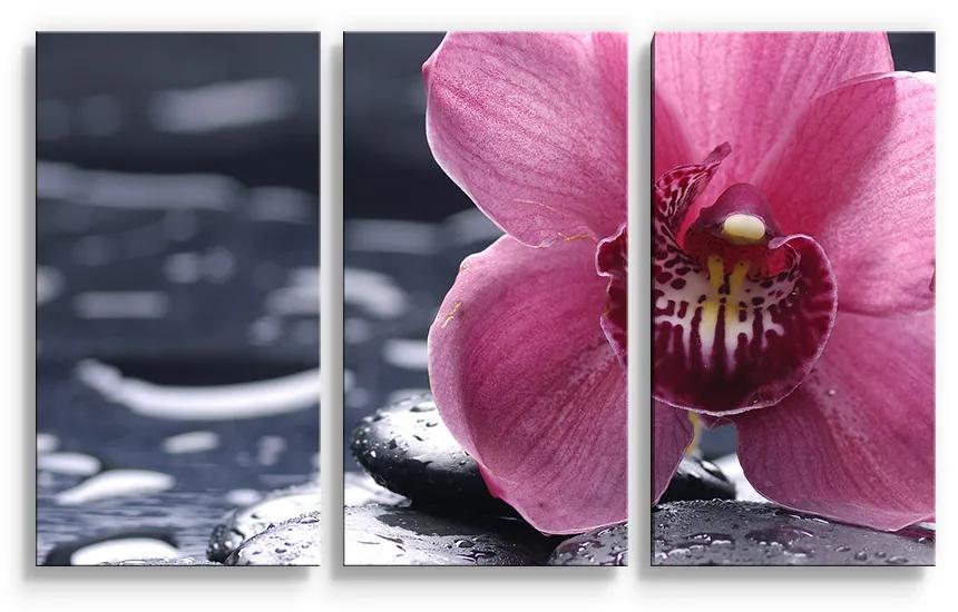 Sablio Obraz - 3-dílný Orchidej - 120x80 cm