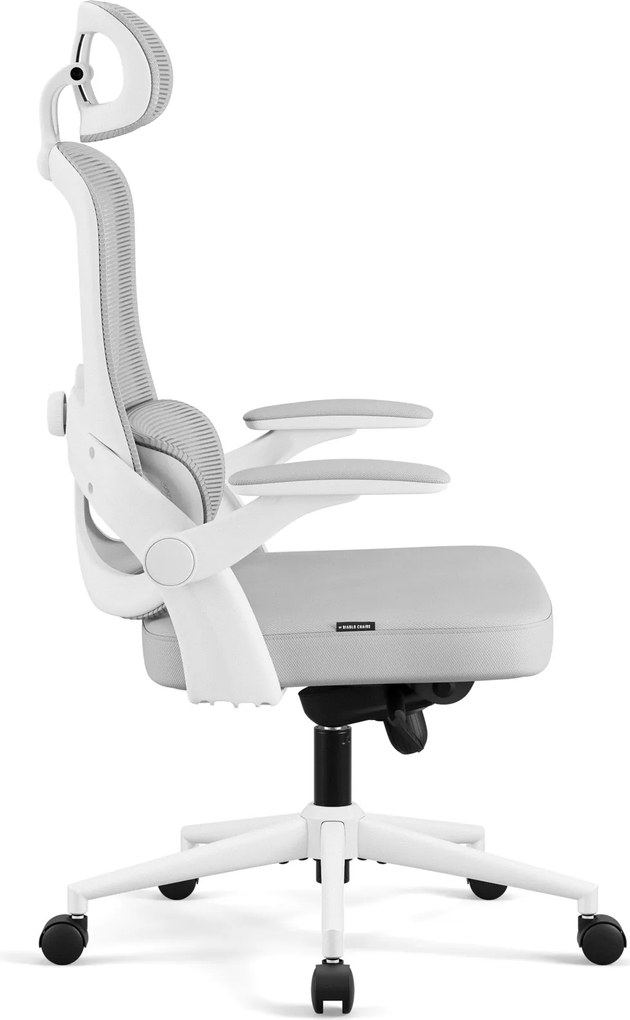 Ergonomická kancelářská židle světle šedá Normal Size: Diablo V-Light