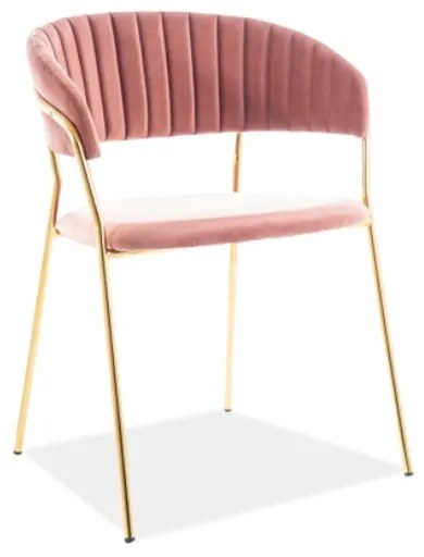 Růžová jídelní židle LIRA B VELVET se zlatými nohami