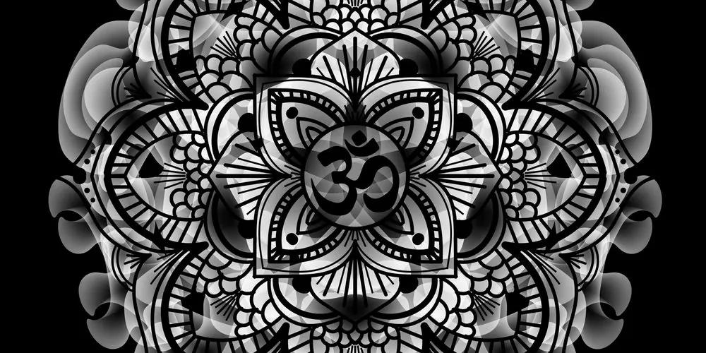 Obraz Mandala zdraví v černobílém provedení