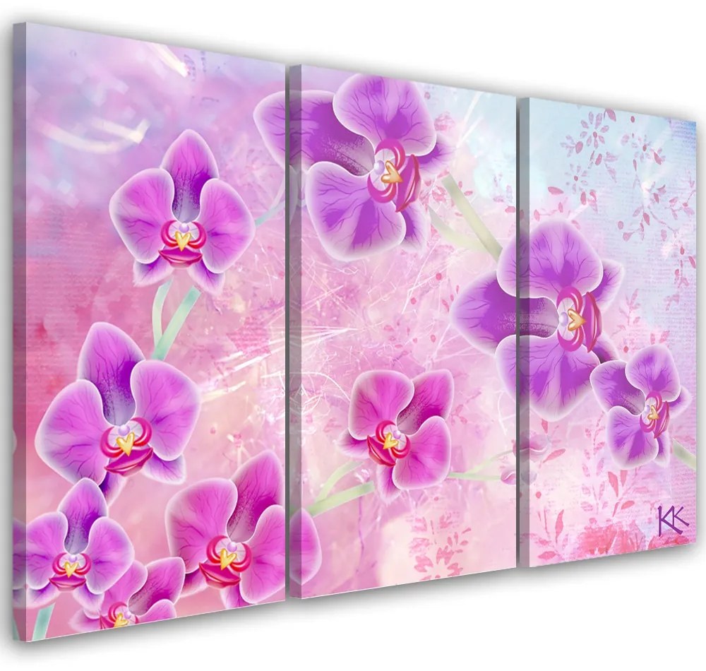 Obraz na plátně třídílný, Abstrakce orchidejí - 90x60 cm