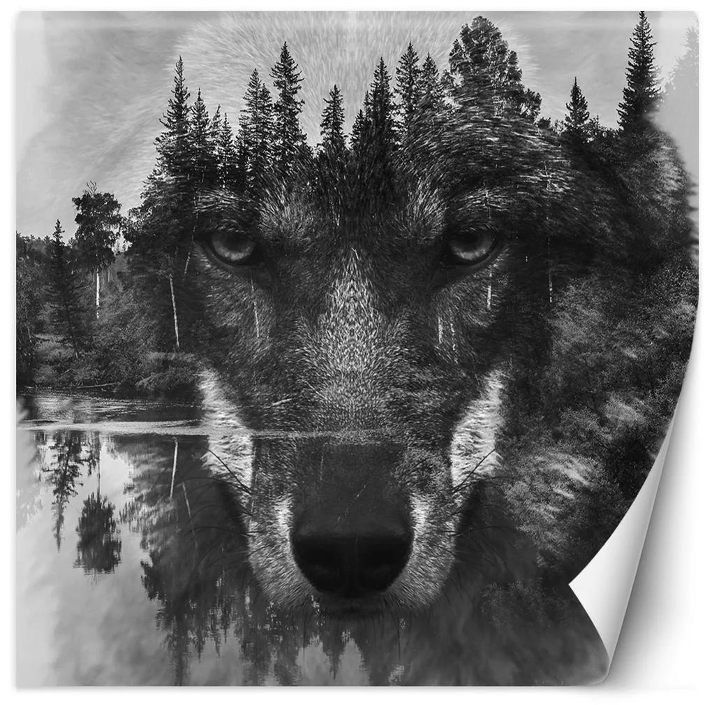 Gario Fototapeta Vlk odrážející se v hladině jezera Materiál: Vliesová, Rozměry: 100 x 100 cm