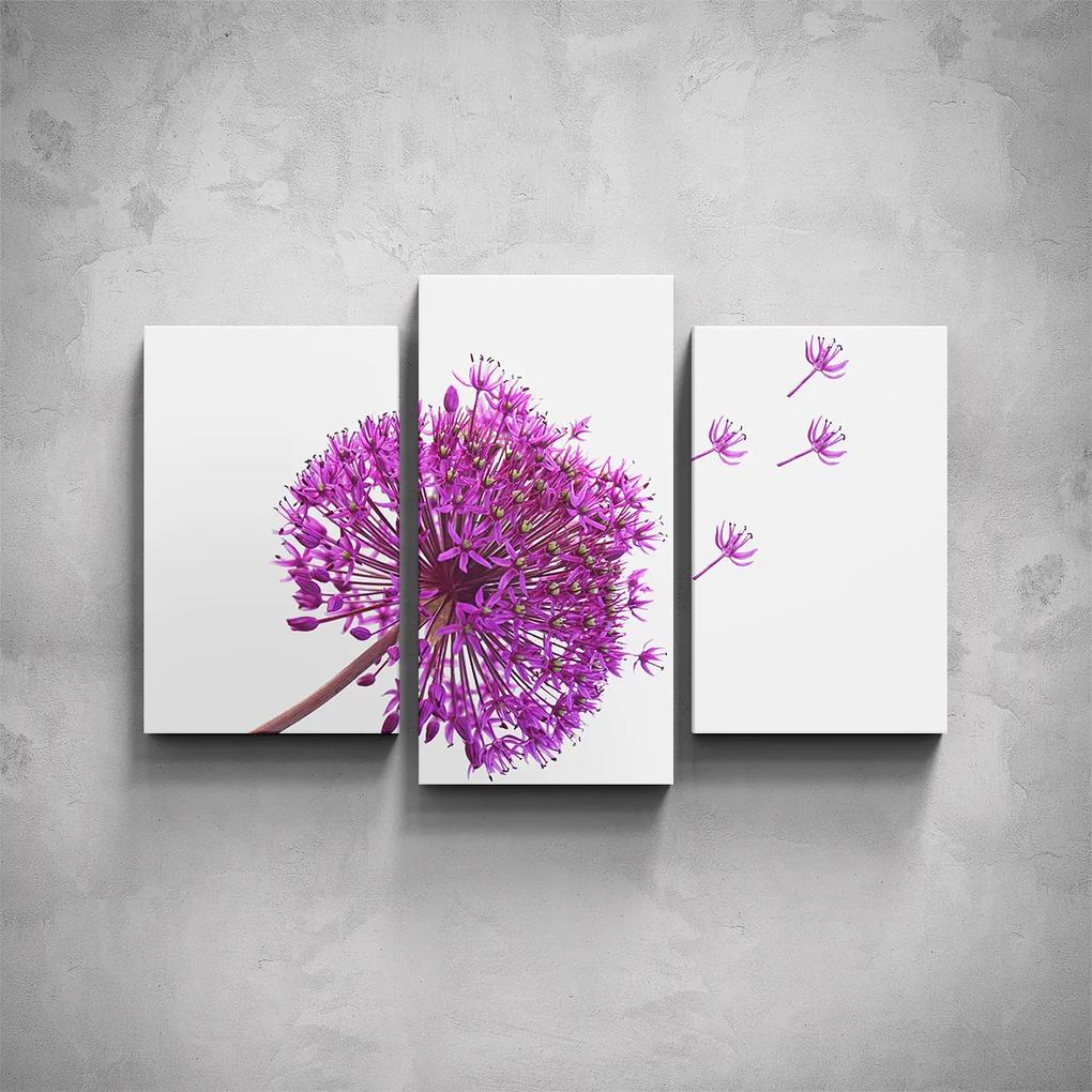 3-dílný obraz - Fialový květ - PopyDesign