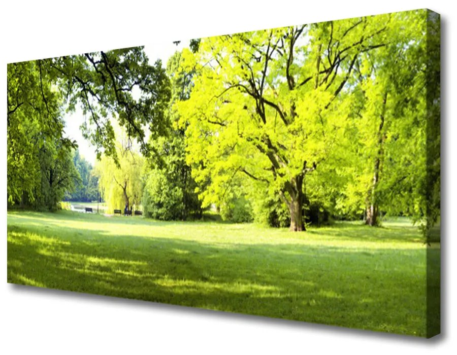 Obraz na plátně Tráva Stromy Park Příroda 120x60 cm