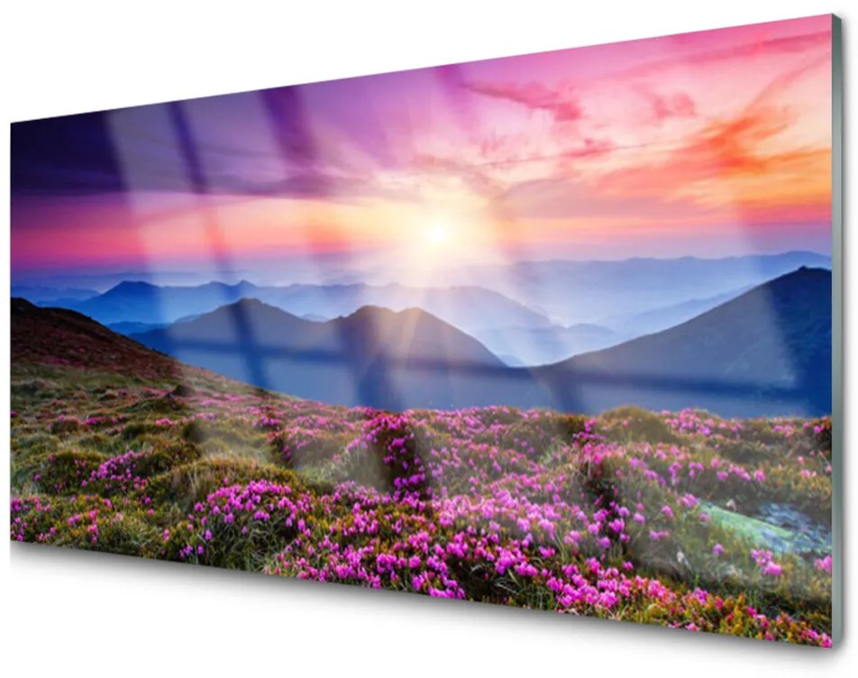 Plexisklo obraz Hora Louka Slunce Krajina