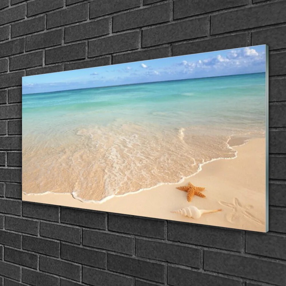 Obraz na skle Pláž Hvězdice Krajina 120x60 cm