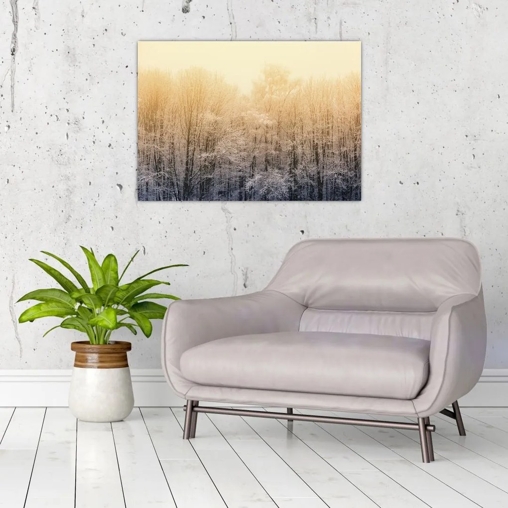 Skleněný obraz mrazivého lesa (70x50 cm)