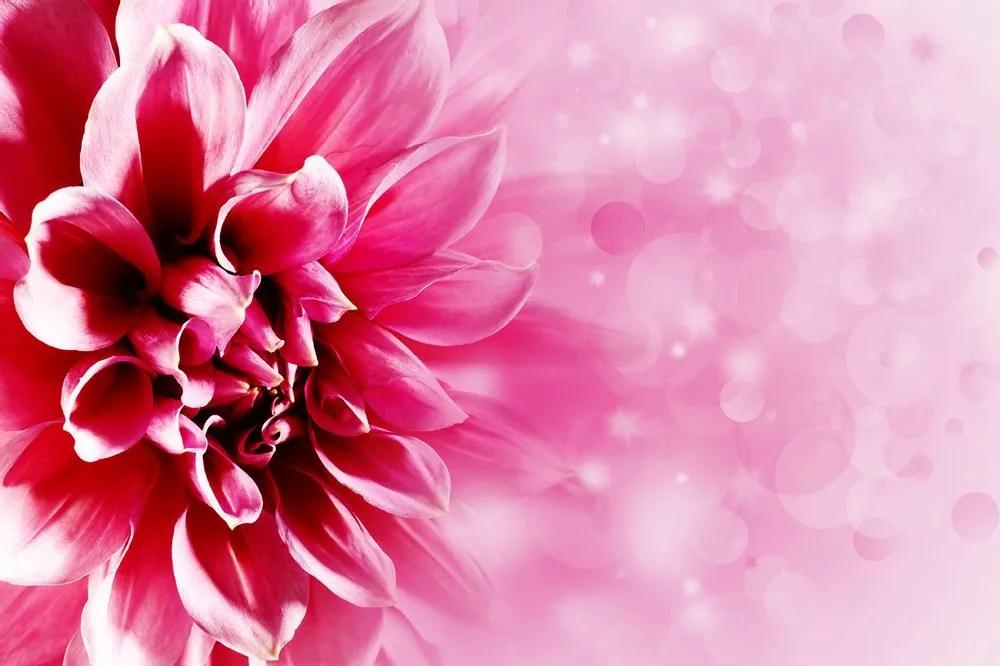 Samolepící tapeta růžový květ - 450x300 cm