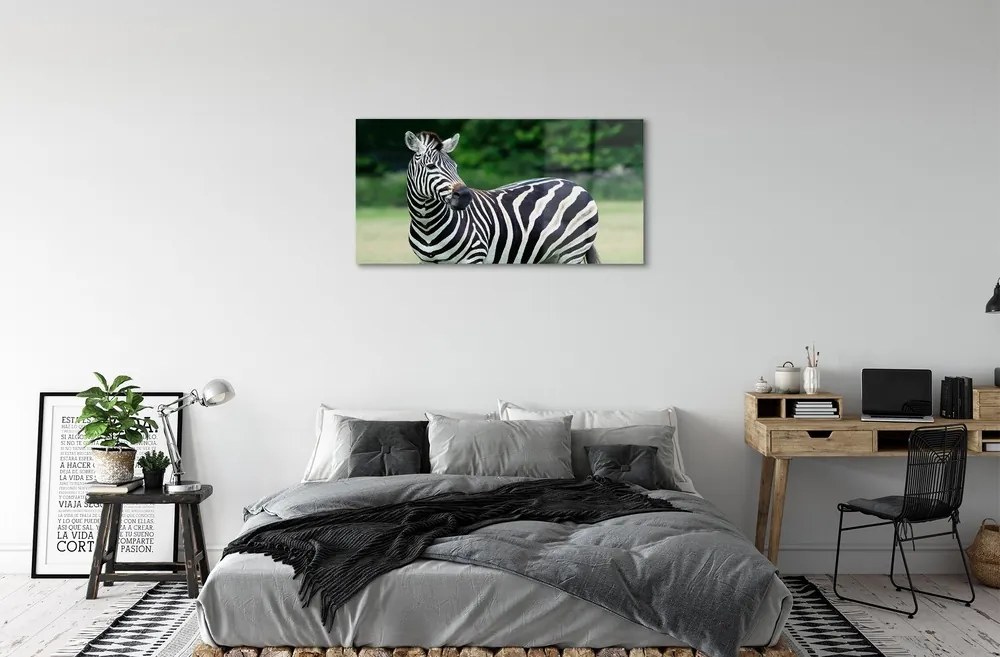 Obraz na skle Zebra box 120x60 cm