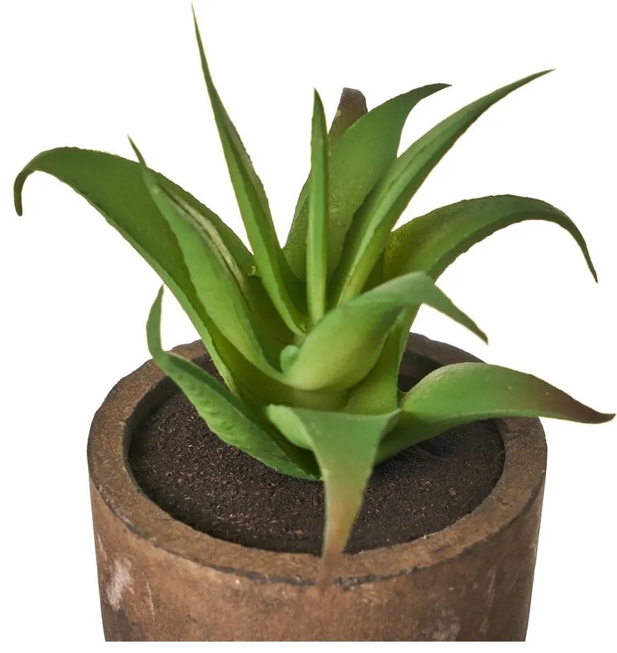 Umělé rostliny v sadě 4 ks (výška 10 cm) Cactus – Casa Selección