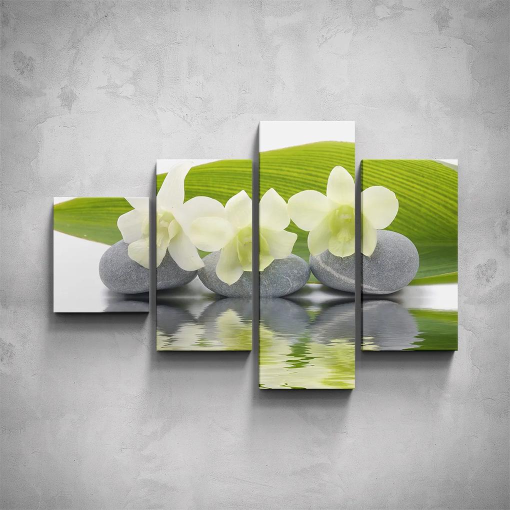 4-dílný obraz - Bílé orchideje - PopyDesign