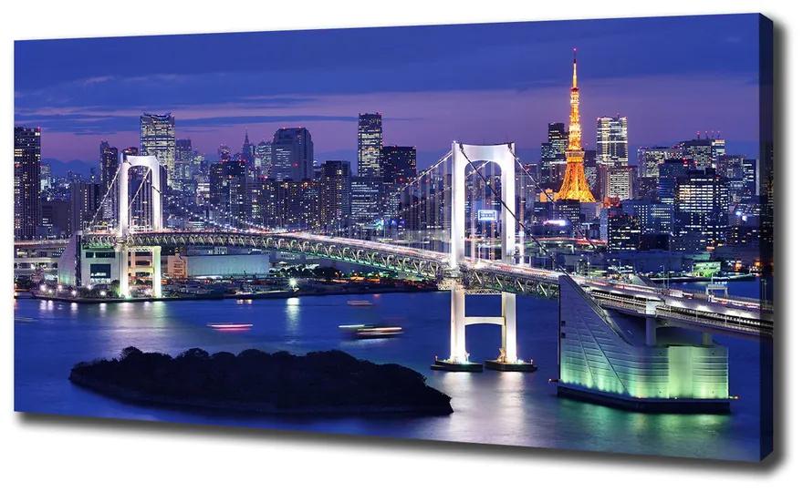 Wallmuralia Foto obraz na plátně Most v Tokio 140x70 cm