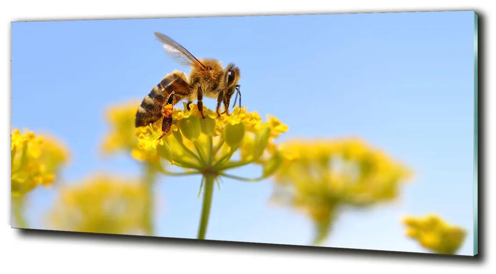 Fotoobraz na skle Včela na květině