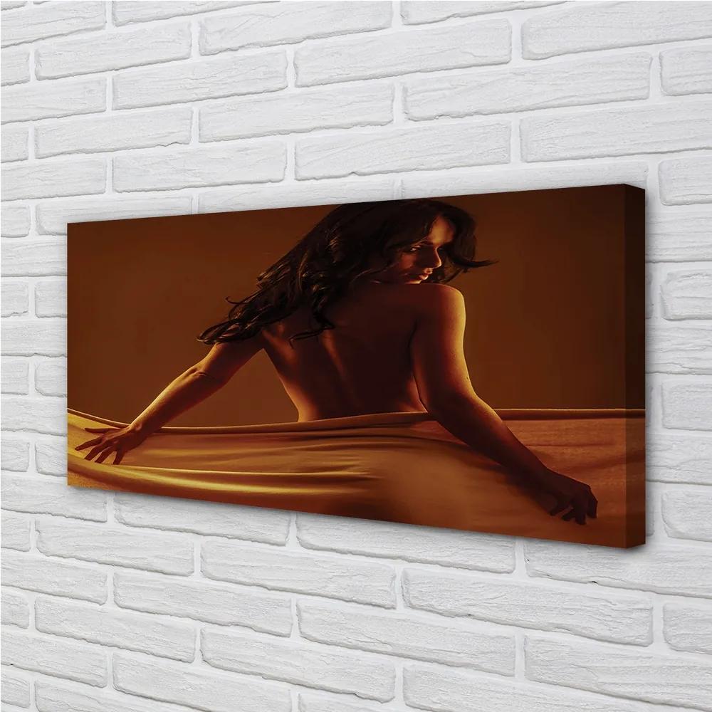 Obrazy na plátně Žena s materiálem 100x50 cm