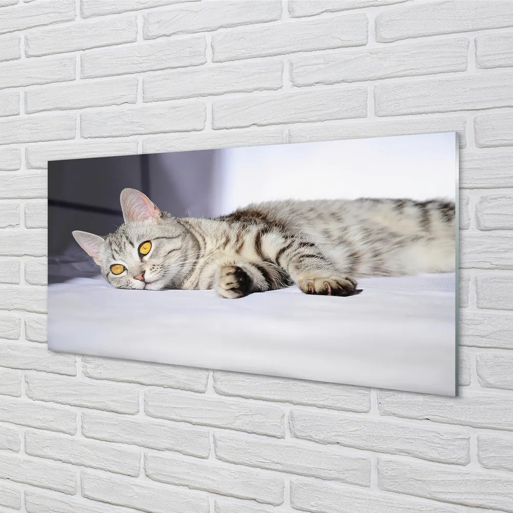 akrylový obraz ležící kočka 140x70 cm