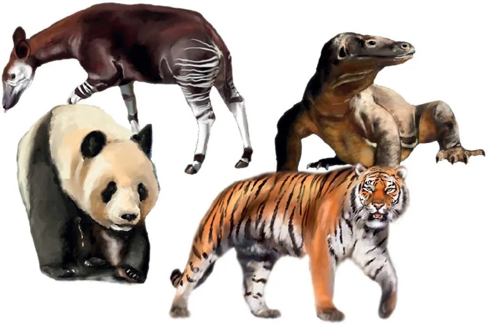 MINDOK HRA Fauna *SPOLEČENSKÉ HRY* mn066