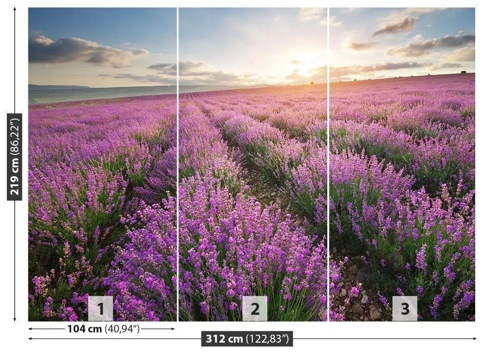 Fototapeta Lavender louka 104x70