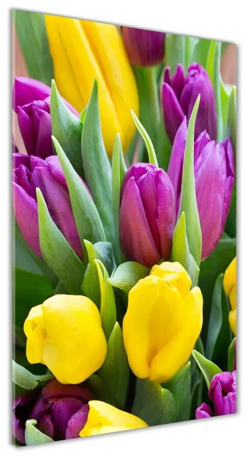 Wallmuralia Vertikální Fotoobraz na skle Barevné tulipány 50x100