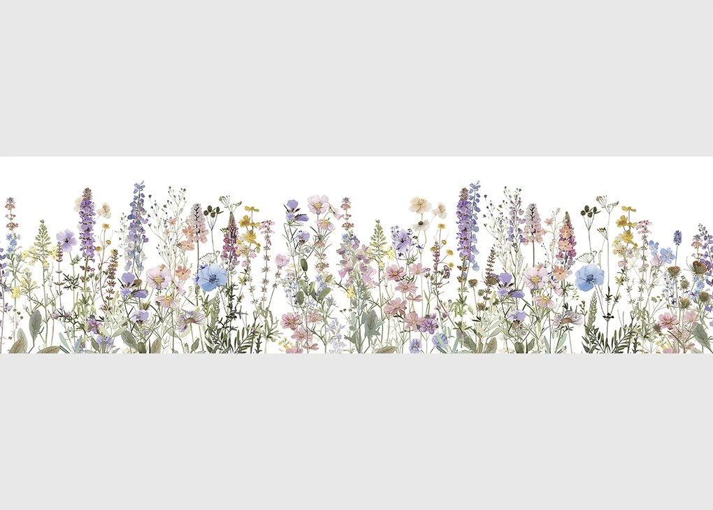 Samolepící bordura na zeď Divoké Květy | 5 m x 13.8 cm | DWB8483