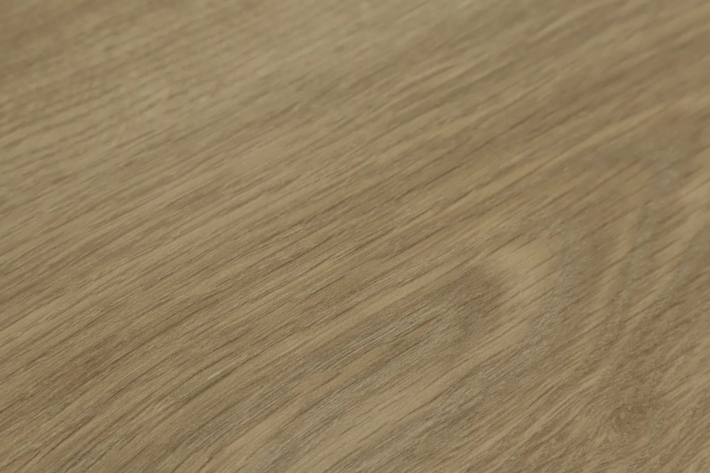 IVC Commercial, PVC podlaha - lino Logitex Ultimate 55 Elias T47, na míru, šíře 2m,4m, hnědá, filc, chodba / předsíň