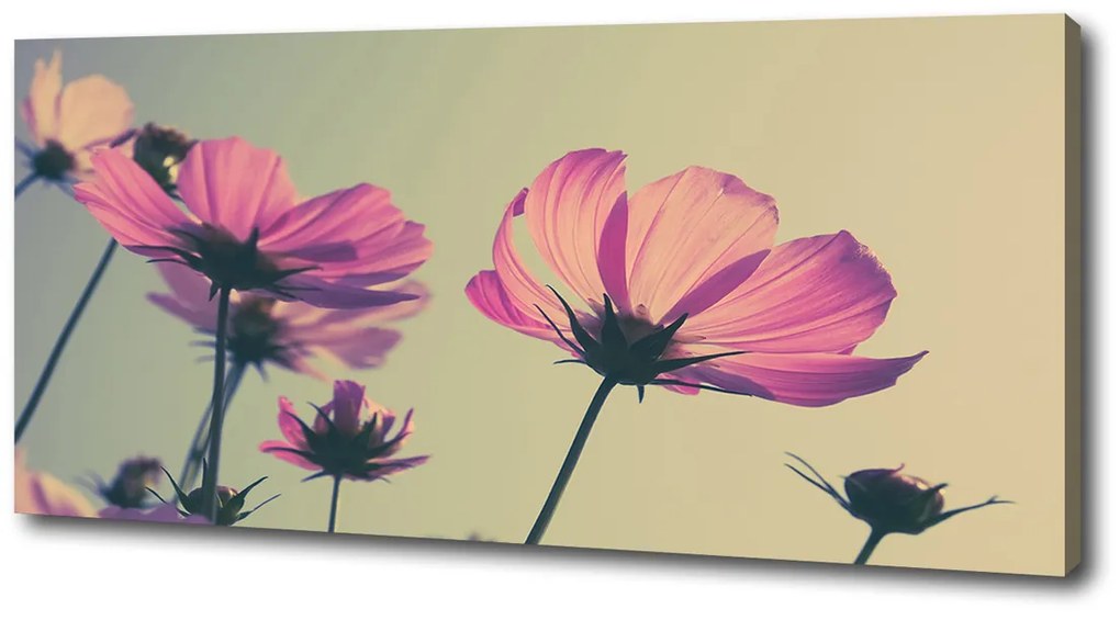 Foto obraz canvas Růžové květiny